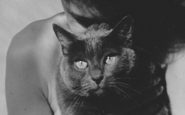 Loving Animals: On Bestiality, Zoophilia, and Post-Human Love – NOTCHES